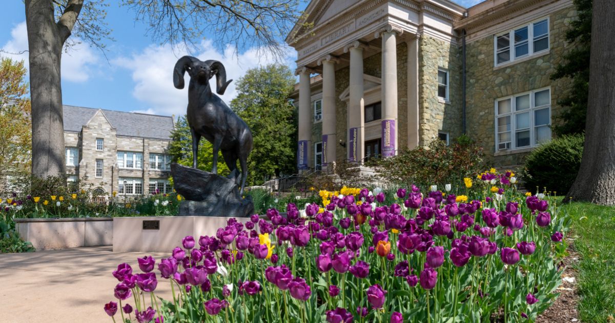 S. Bear Bergman and Ling Ling Huang Keynote WCU’s 5th Annual Gender ...